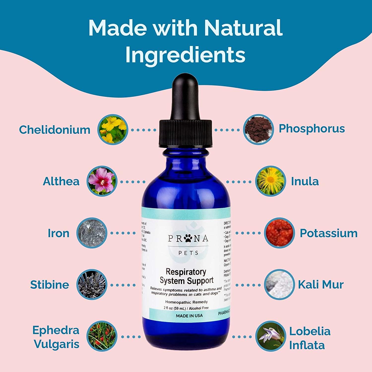 Prana Pets Respiratory Support Formula for Dogs and Cats - Promotes ...