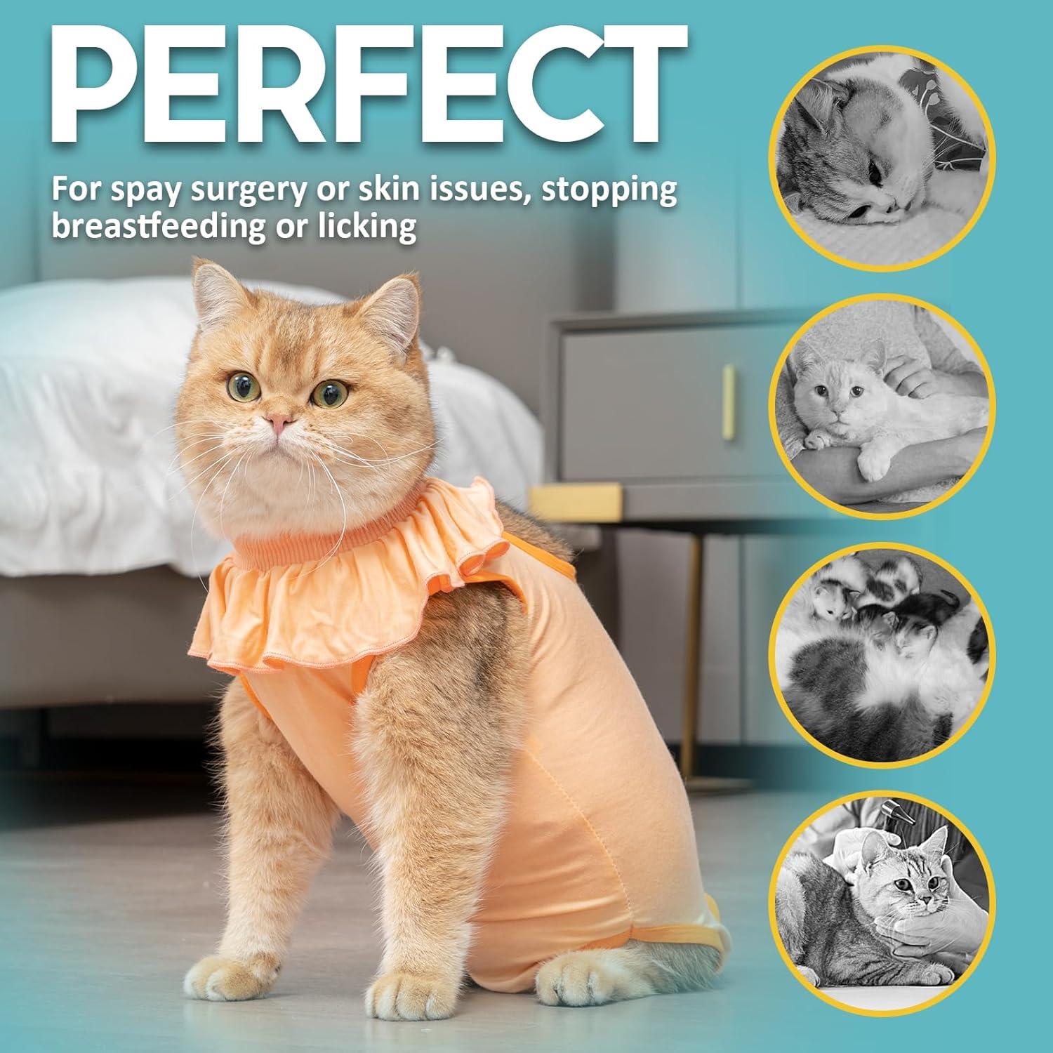 Avont Katzenbody - Post-Op Recovery Suit for Cats | Leak Protection for ...
