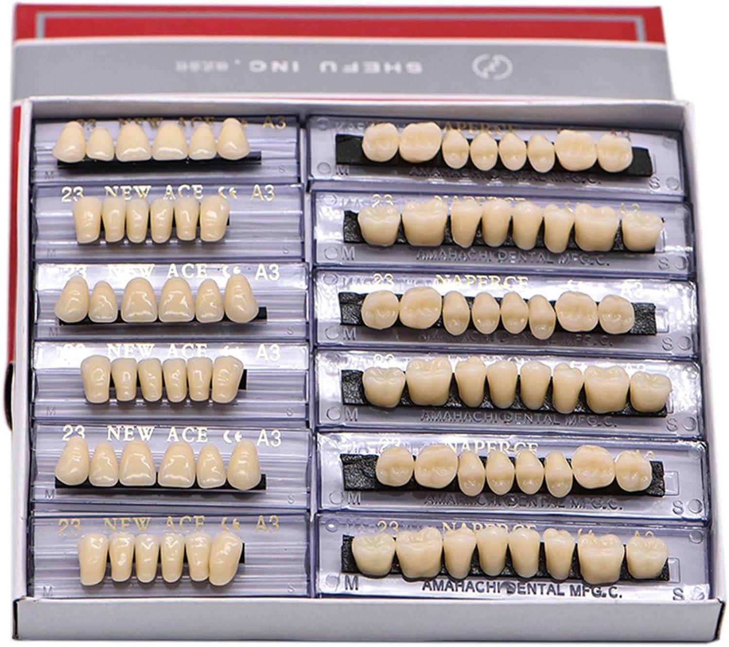 Buy MTTXY 168pcs Resin Dentures - 3 Sets Artificial Teeth 23 A3 Upper ...