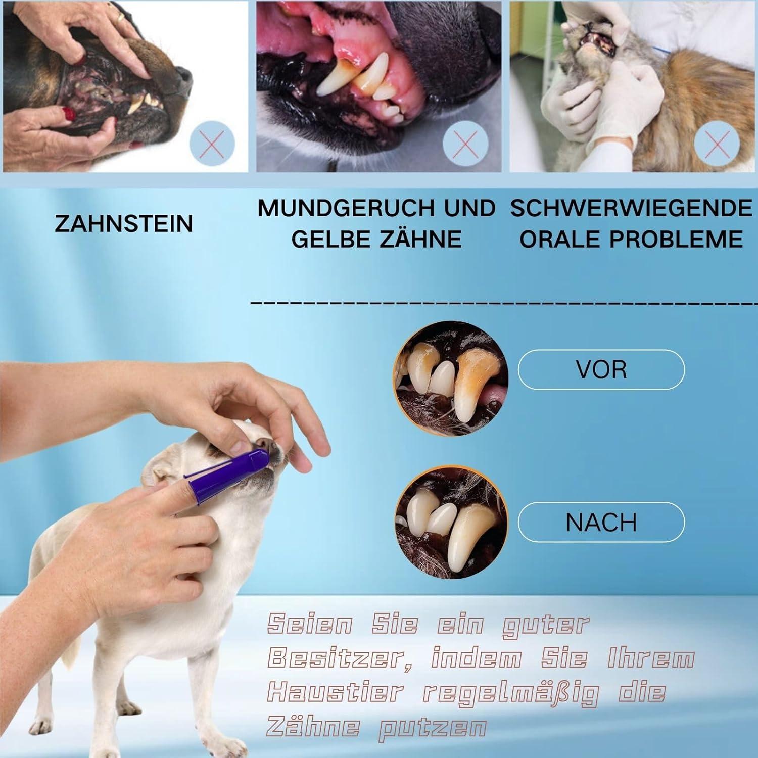 Dog Toothpaste & Care Set - Beef Flavor Toothpaste Brush & Caps ...