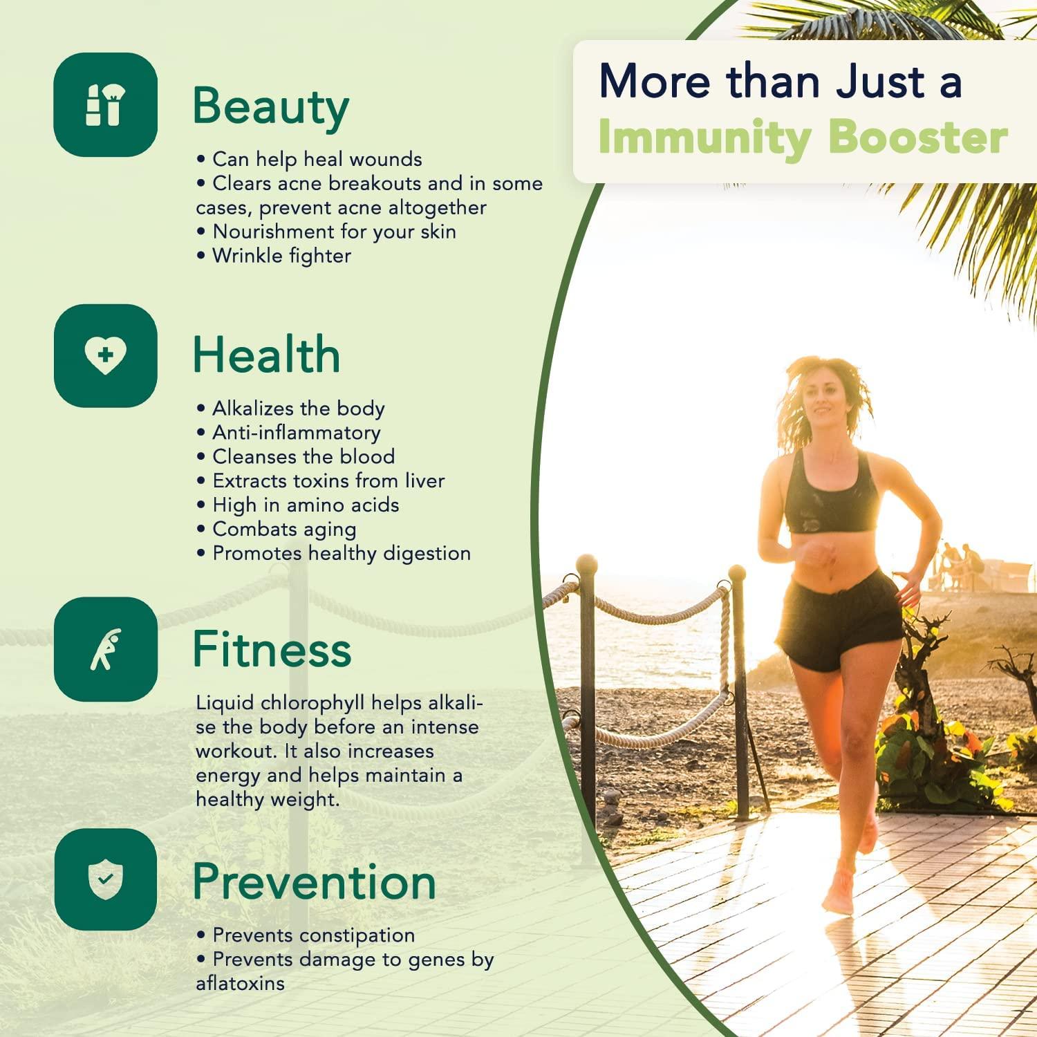 Chloroglow 1500mg Liquid Chlorophyll Oxygen Drops - Energy & Immune ...