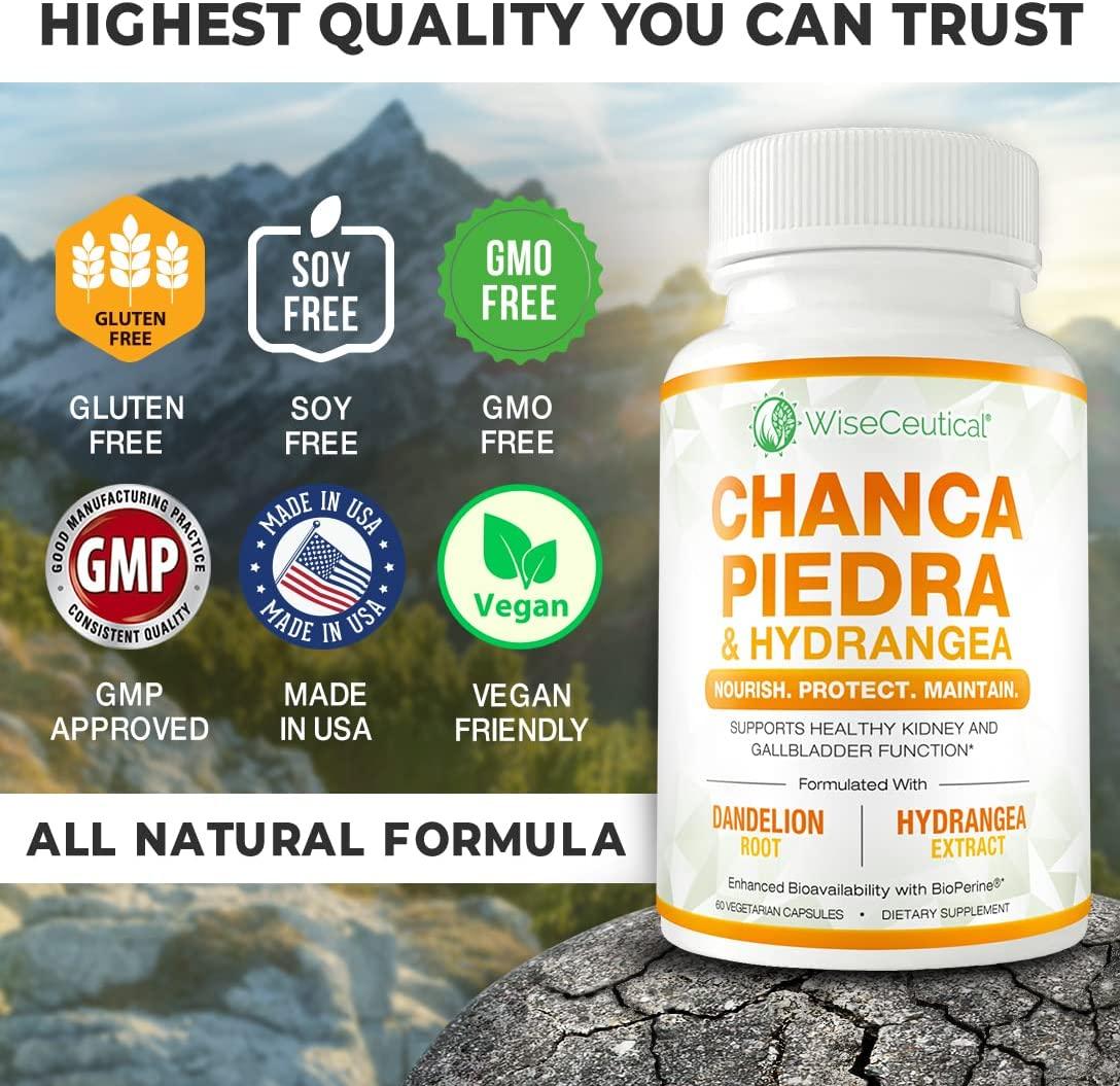 Max Strength Chanca Piedra, Hydrangea & Dandelion Root Kidney ...
