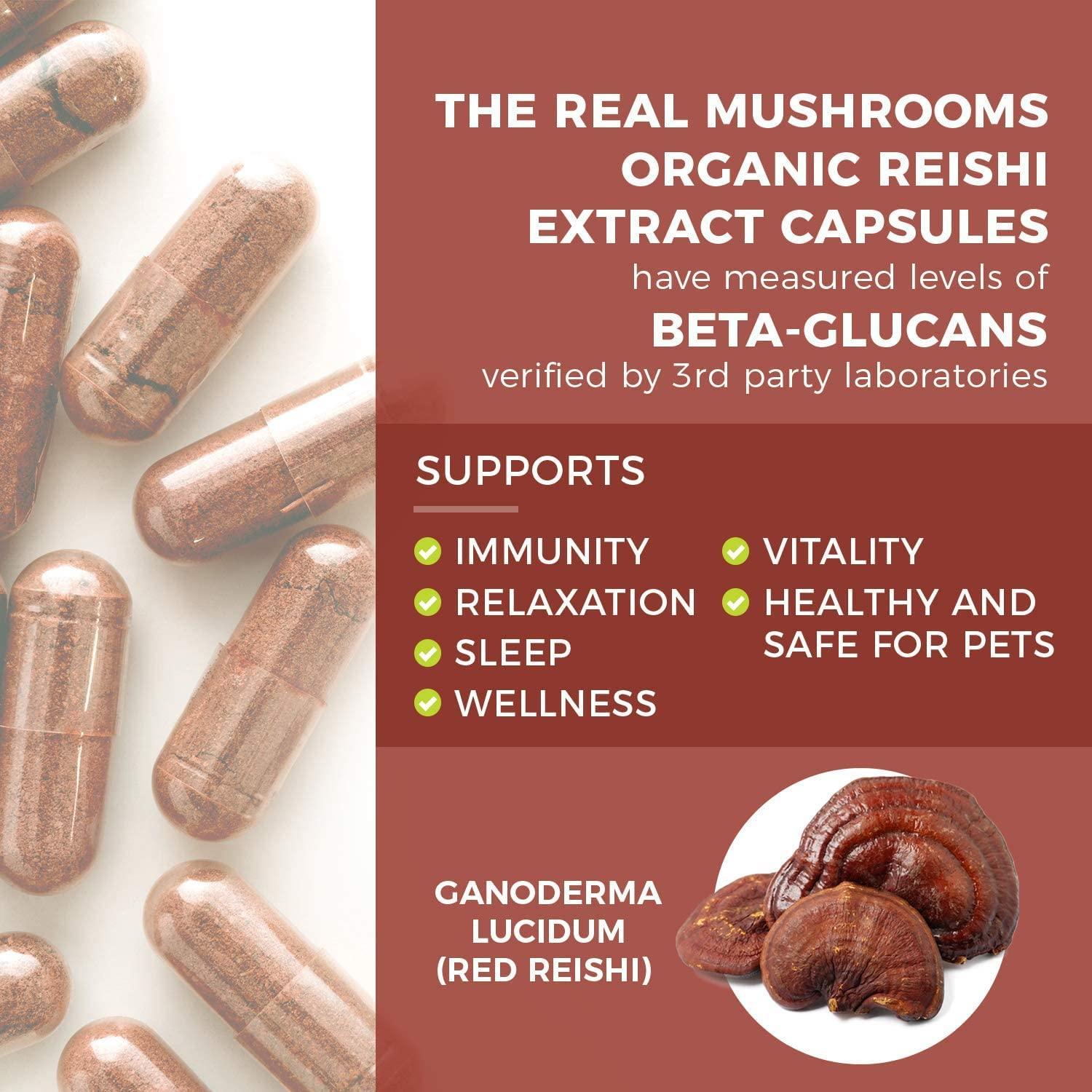 Reishi Extract Mushroom Supplements - Capsules for Longevity - Non-GMO ...