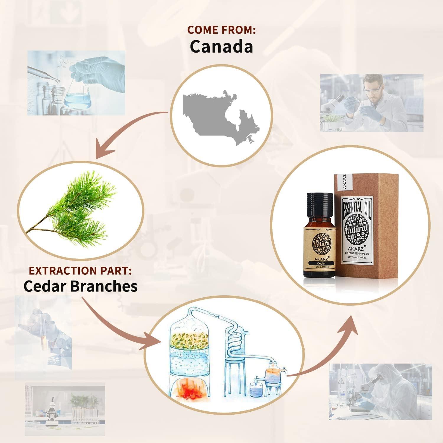 Buy Akarz Organic Cedar Oil | Pure Therapeutic Essential Oil for Skin ...