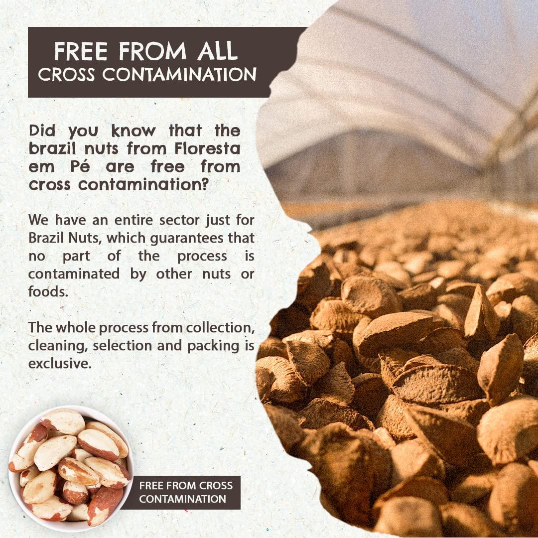 Organic Premium Brazil Nuts (15oz) Raw & Unsalted - Certified Organic ...