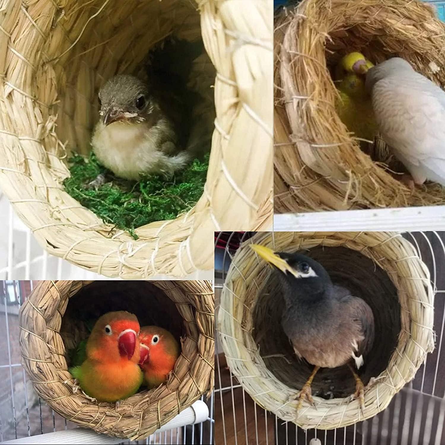 Birds Nest Straw Birdhouse 100% Natural Fiber - Cozy Resting Breeding ...