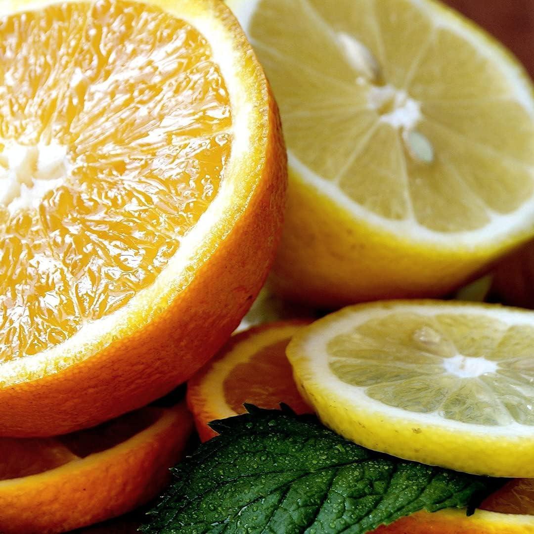 Isotonic Electrolyte Energy Drink Powder - Citrus & Mint Flavor | 100% ...