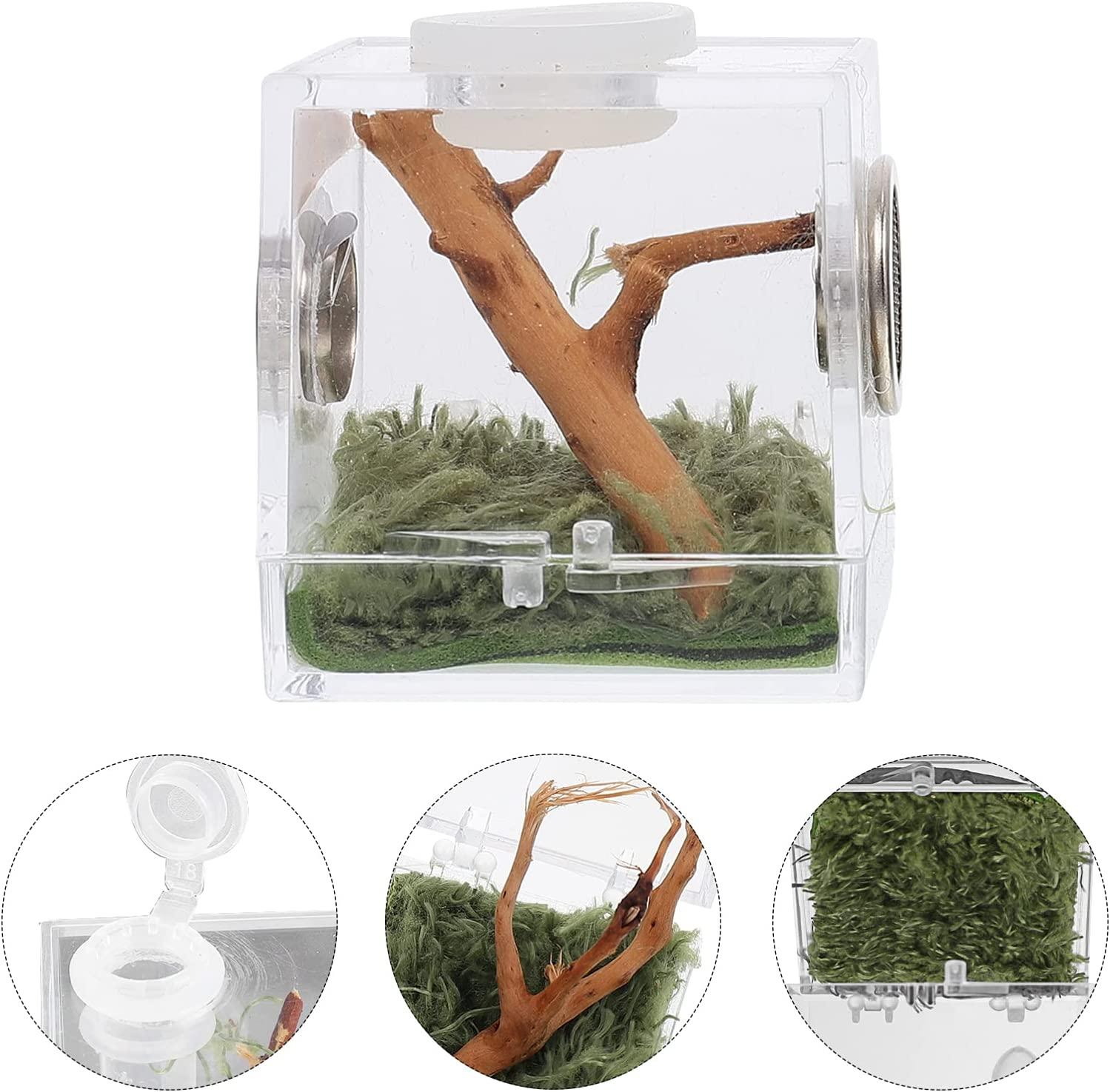 NUOBESTY 2 Set Spider & Snail Terrarium Kit | Acrylic Critter Keeper ...