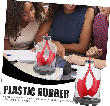 Lung Breathing Model Educational Science Toys Preschool Teaching aid ...