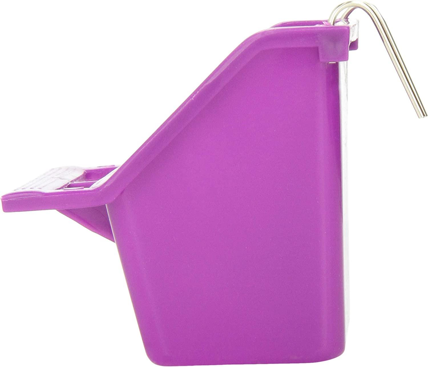 Living World Large Seed Cup with Perch - Assorted Colors | Buy Now with ...