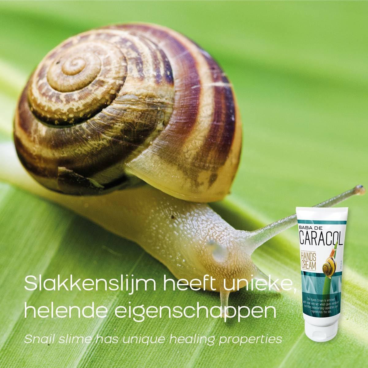 Orange Care Baba de Caracol Snail Mucus Moisture Cream - 100ml Hand ...