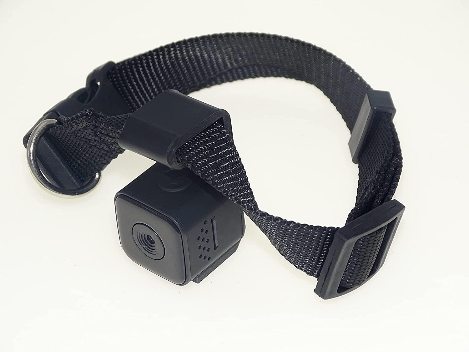 Pet Collar Cam DVR: Video Recorder & Monitor for Dogs, Cats, and ...