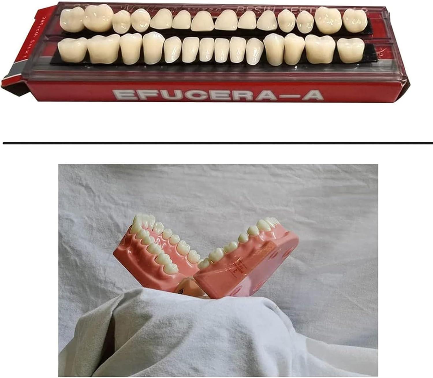 MTTXY 56-Part Denture Set | Complete Acrylic Resin Prosthesis - DIY ...