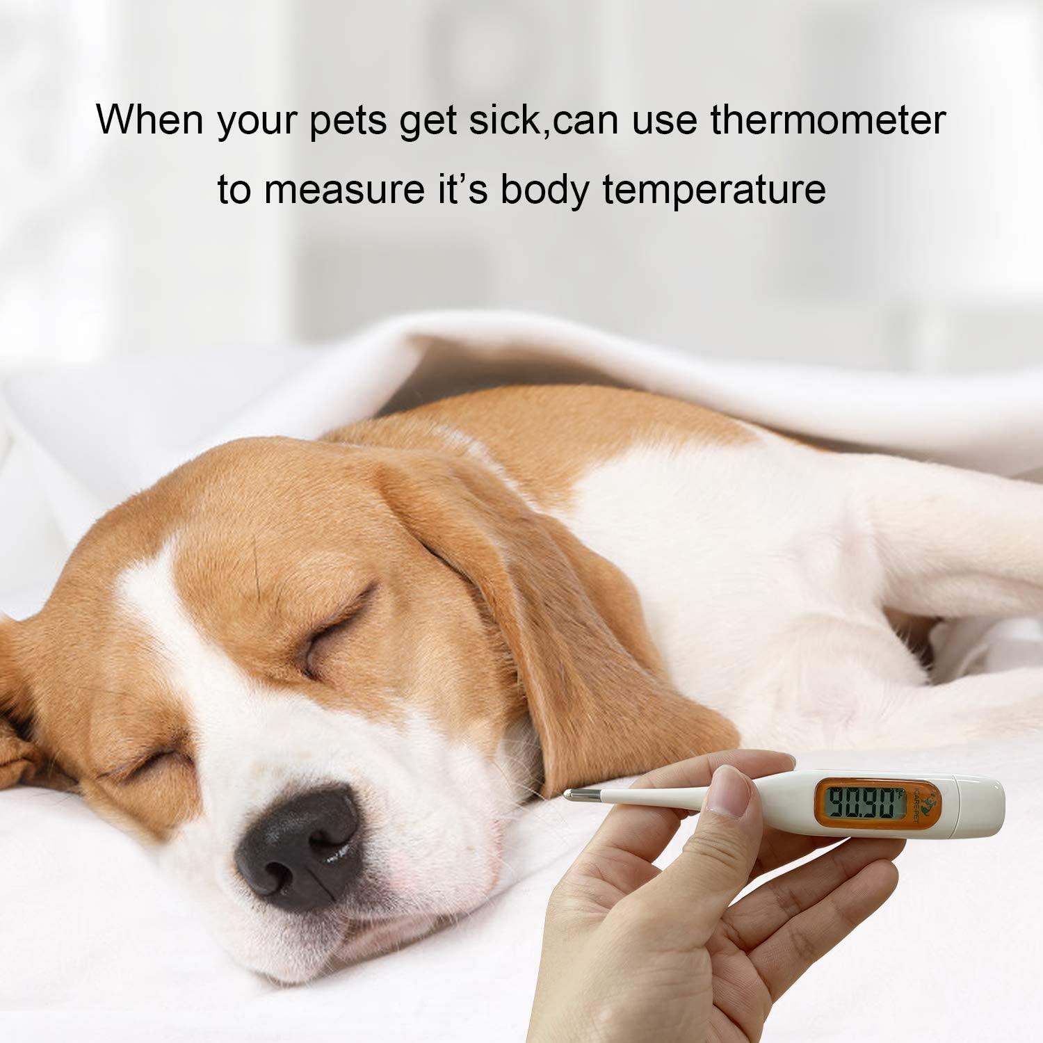 Pet First Aid Kit with Thermometer, Syringe, Otoscope | Ideal for Dogs ...