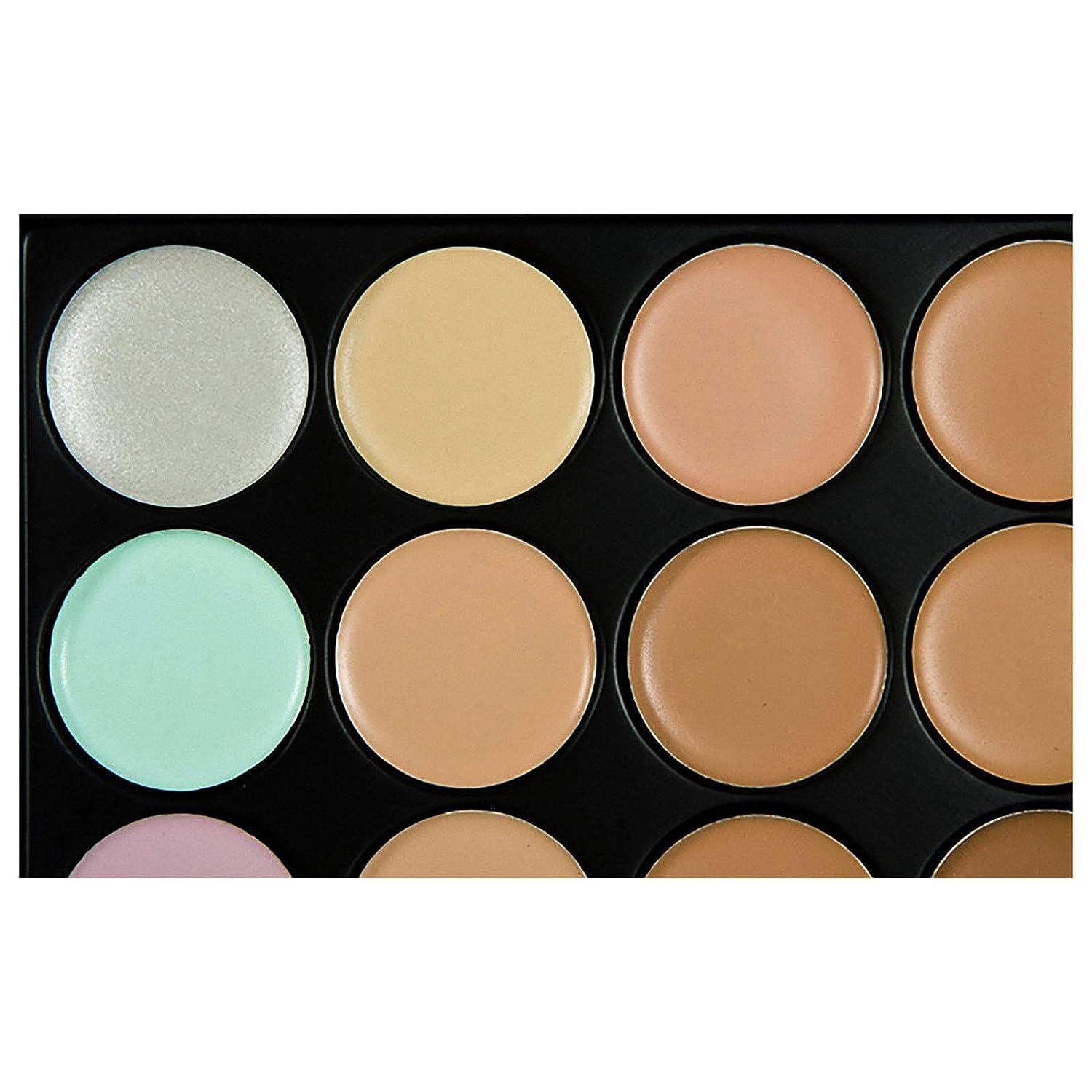 Bestauty Color Correcting Concealer Palette - 15 Colors Multi-Use ...