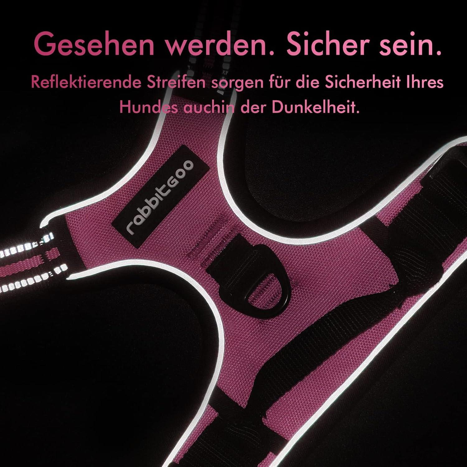 Rabbitgoo Anti-Pull Dog Harness for Medium Dogs - Adjustable Breathable ...