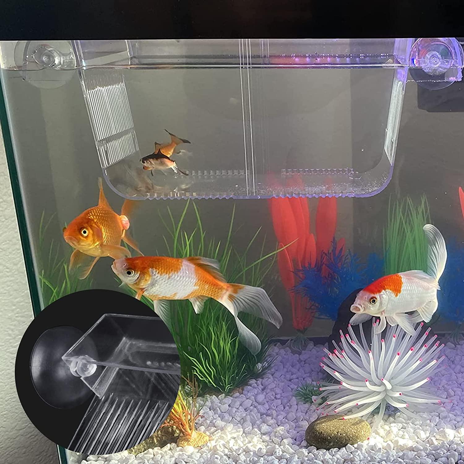 FVIEXE 4PCS Acrylic Fish Tank Breeder Box - Divider & Hatchery ...