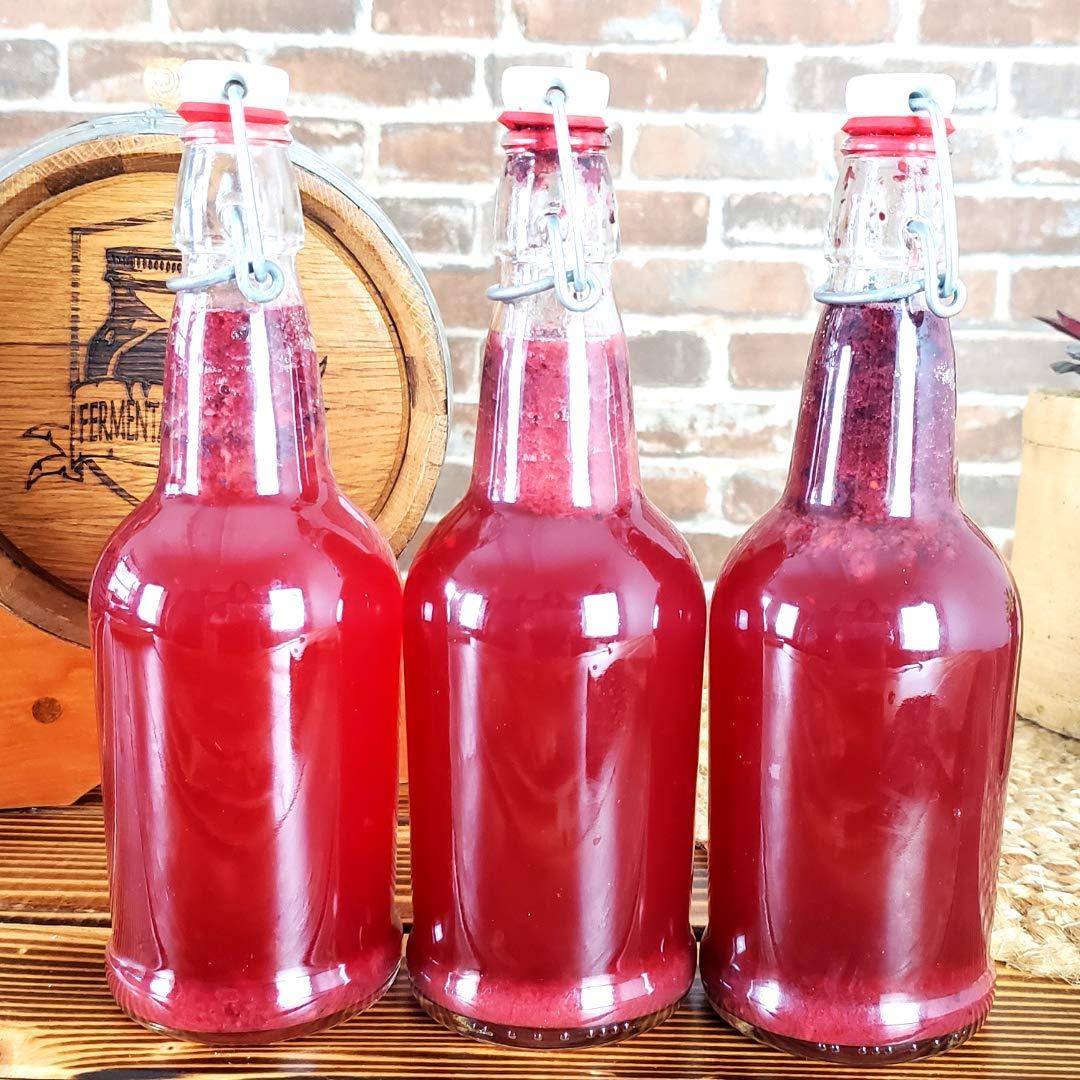 1 Gallon Jun Kombucha Starter Kit - Organic SCOBY & Ingredients for Jun ...