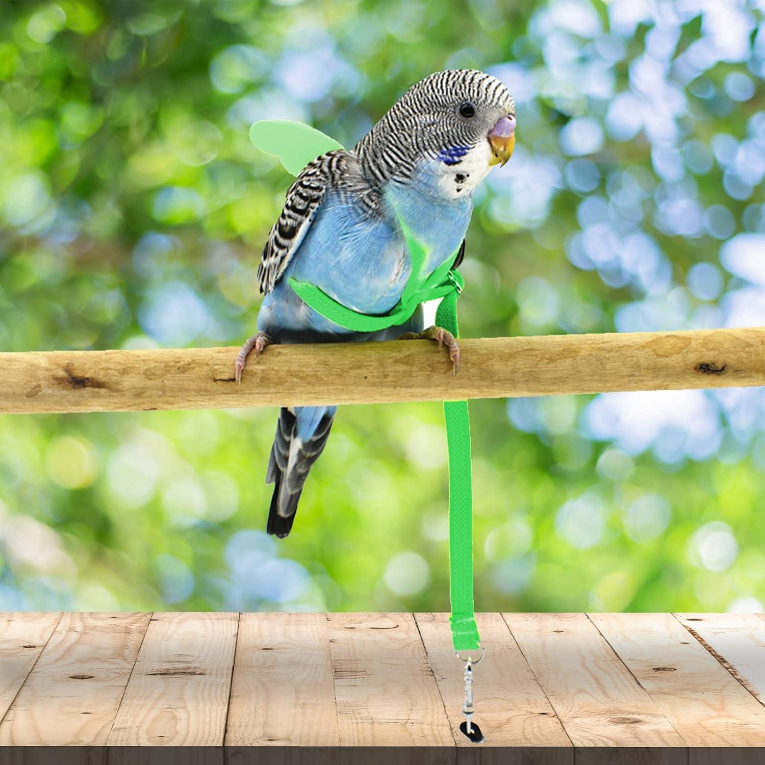 Adjustable Bird Dishes & Leash for Parrots | Anti-Bite Design | Ideal ...