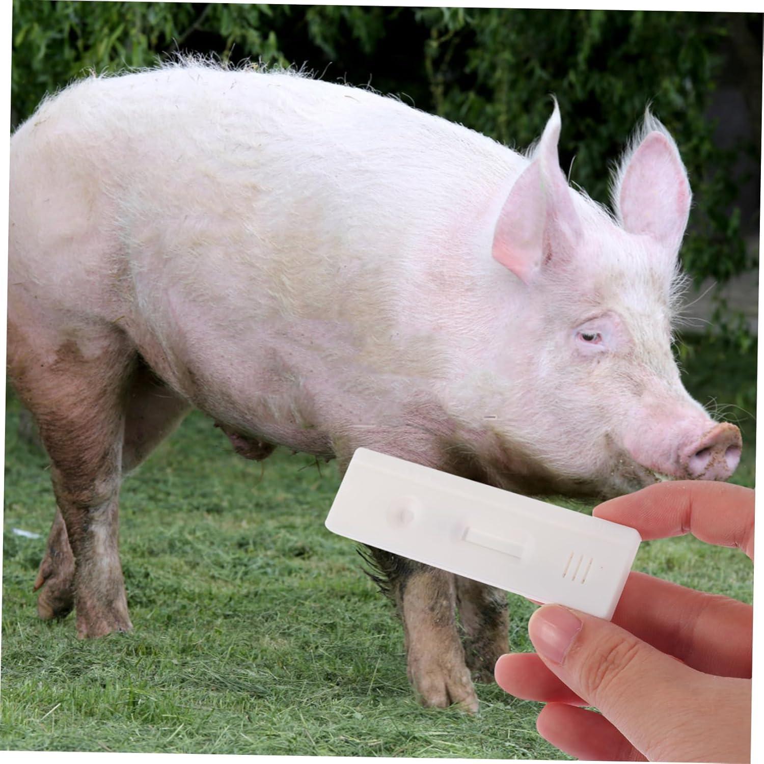 Magiclulu 4-Piece Pregnant Tester Kit | Farm-Test Tools for Pregnancy ...