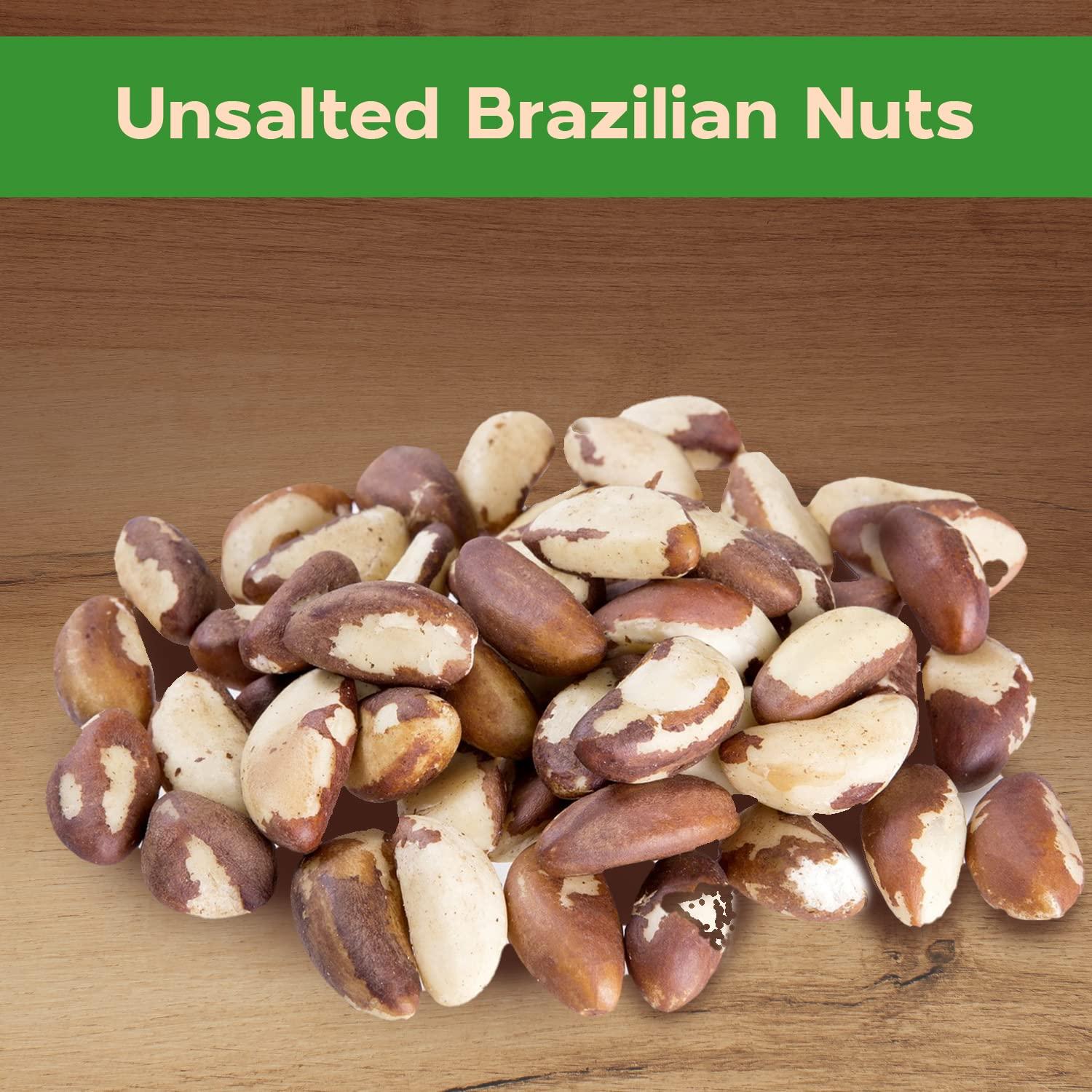 Sincerely Nuts Raw No Shell Brazil Nuts - Unsalted - 1lb | Premium ...