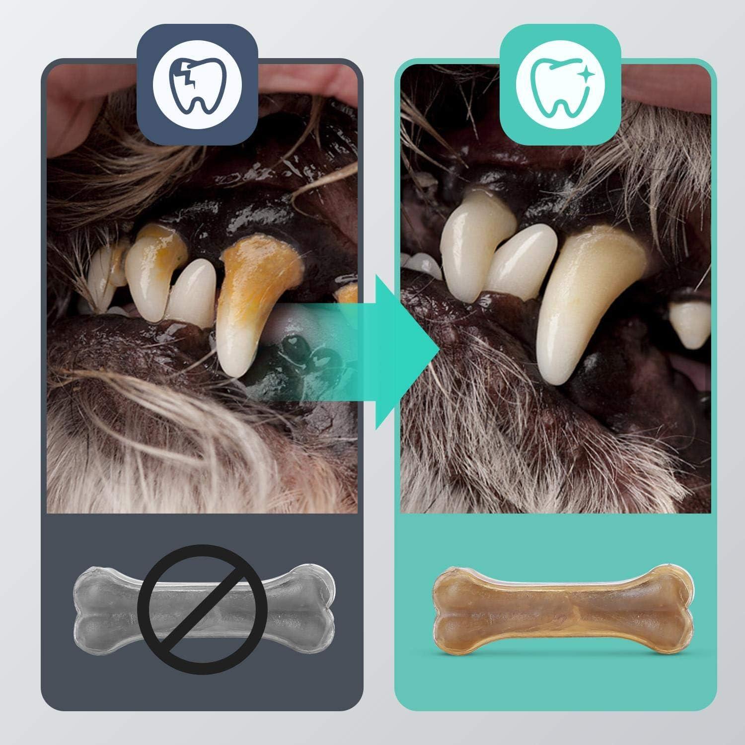 Nobleza 100% Natural Beef Chewing Bones for Small Dogs - 12 Pieces High ...