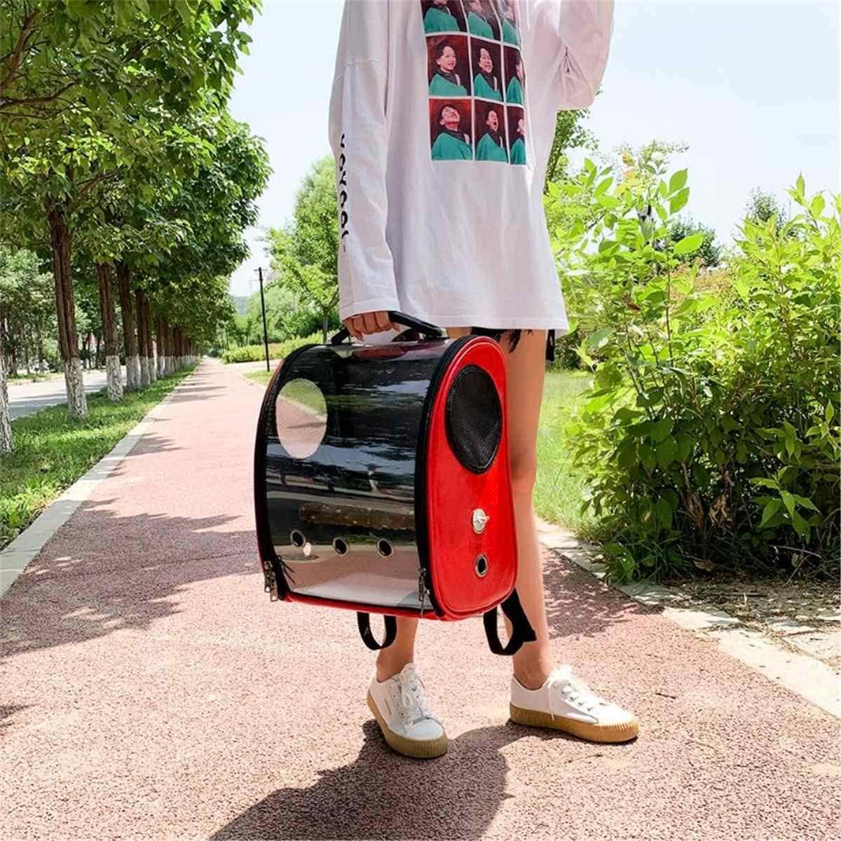 Outdoor Bird Backpack Carrier with Perch Stand | Breathable Space ...