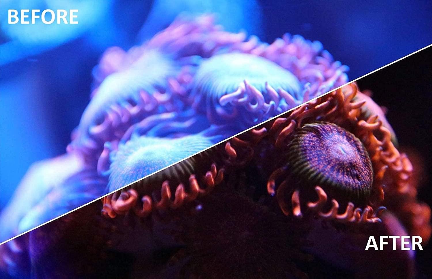 Kraken Reef UV Coral Viewing Glasses - Enhance Your Underwater ...