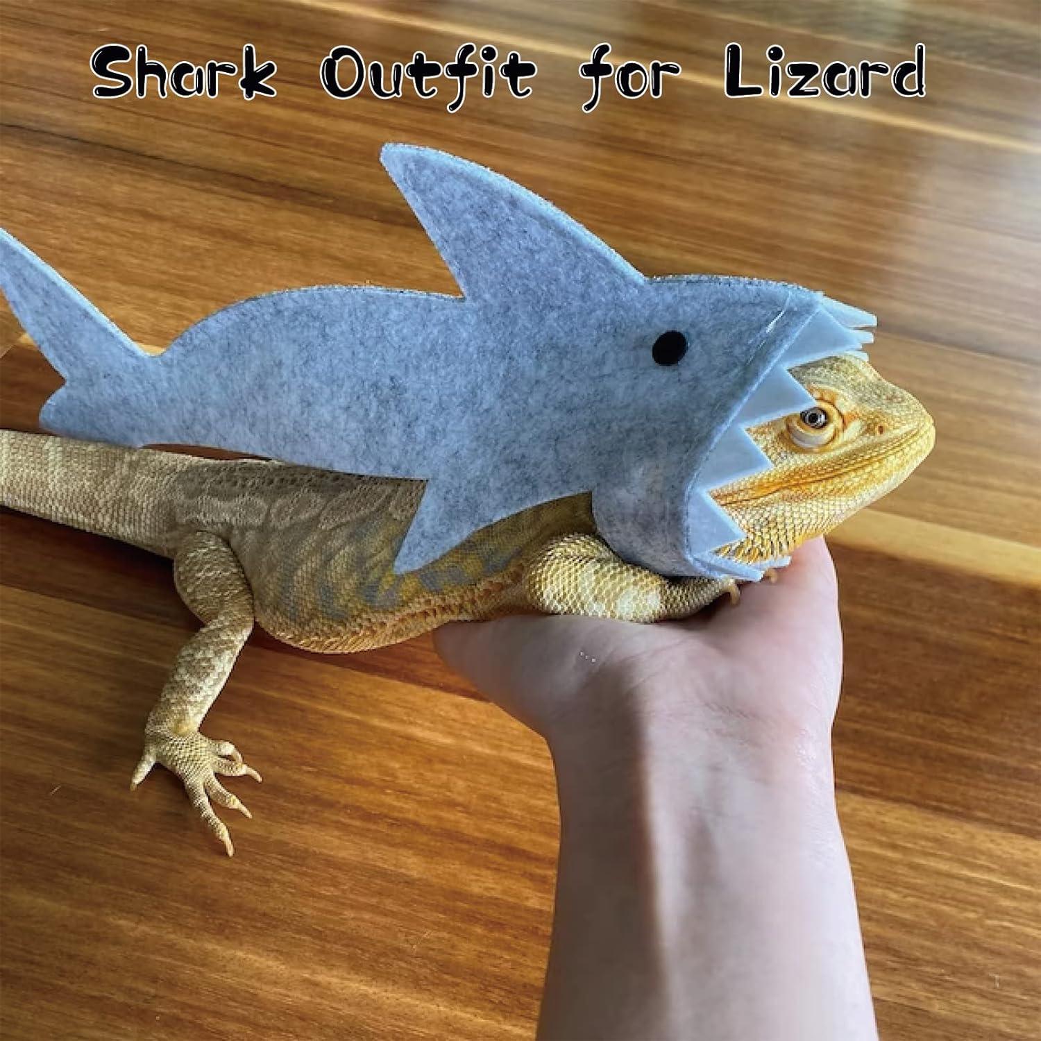 CooShou 3Pcs Bearded Dragon Shark Outfit - S M L Lizard Reptile Shark ...