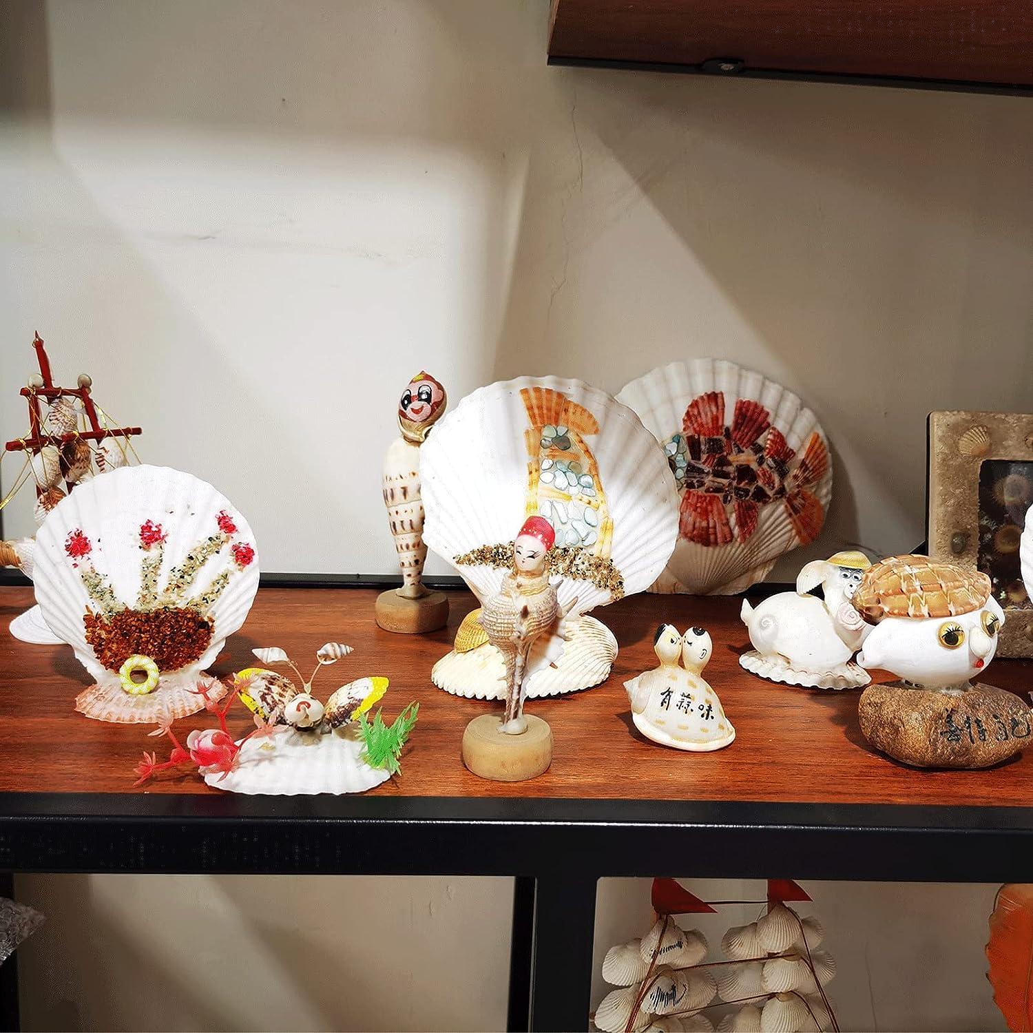 scallop shell crafts