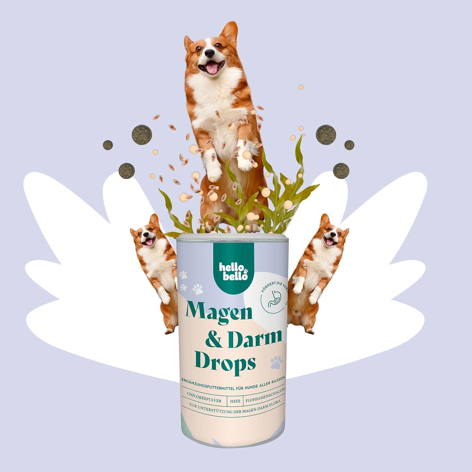 Hellobello Gastrointestinal Drops for Dogs - 3 x 350g | Supports ...