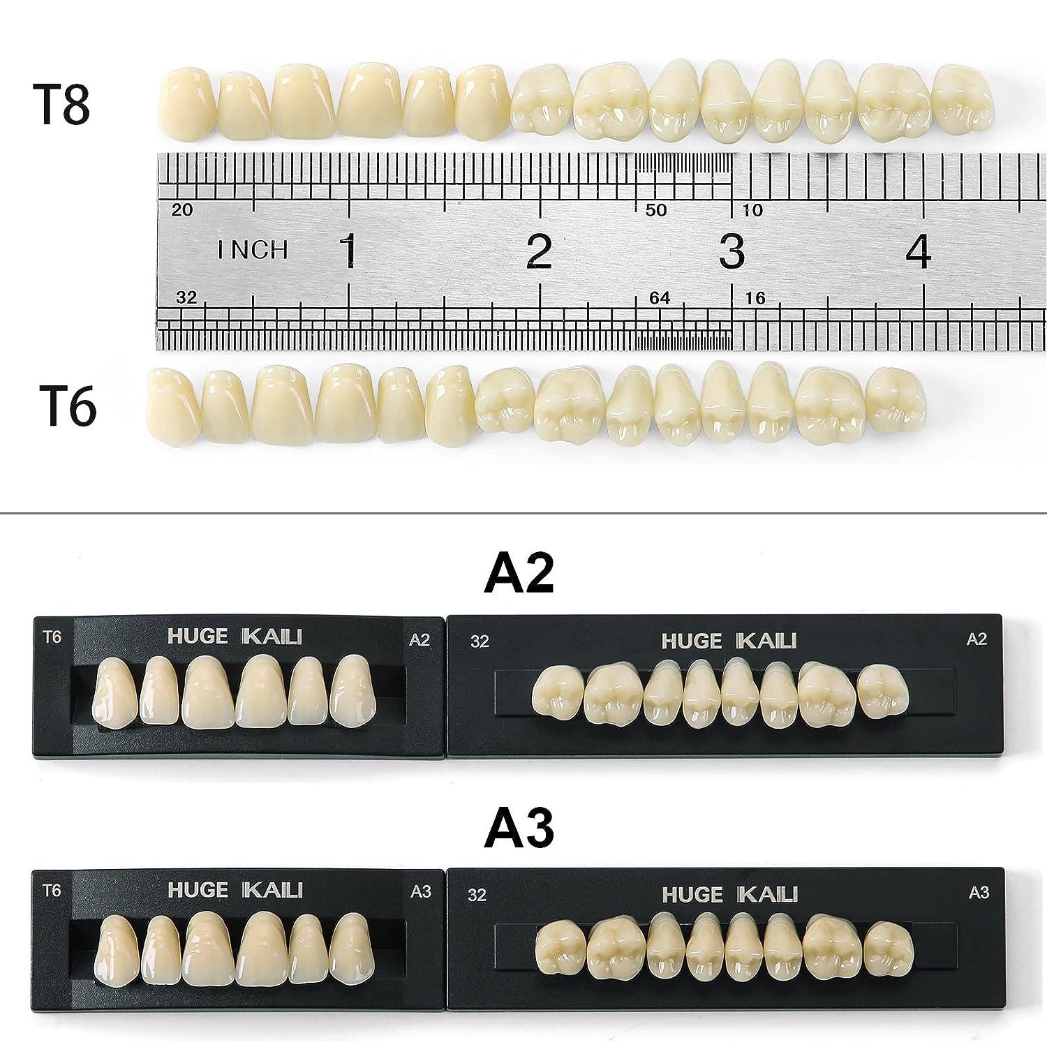 Dental Acrylic Resin Denture False Teeth Set | A2 T6 Synthetic Polymer ...