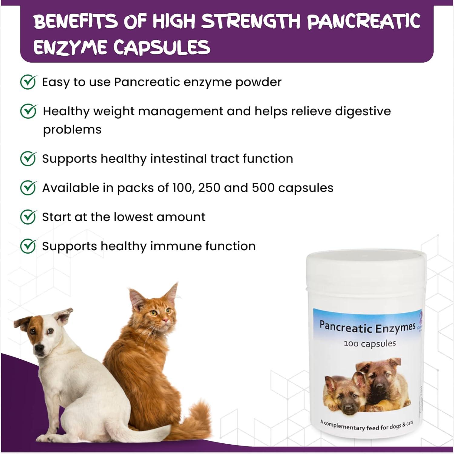Pancreatic Digestive Enzyme Capsules for Dogs & Cats - Amylase and ...