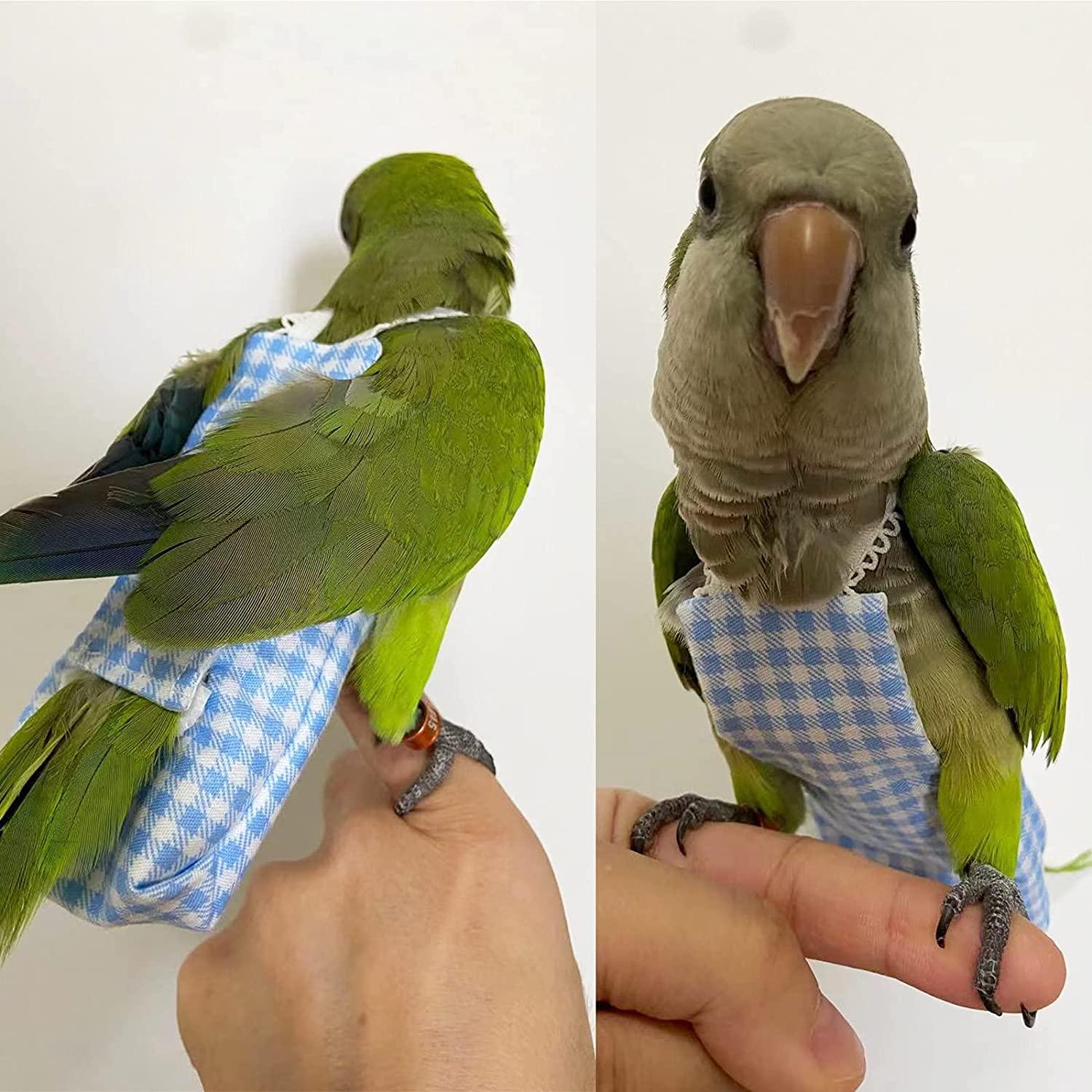 Guanlant Flight Suits for Parrots | Diapers for Monk, Cockatiels, Sun ...