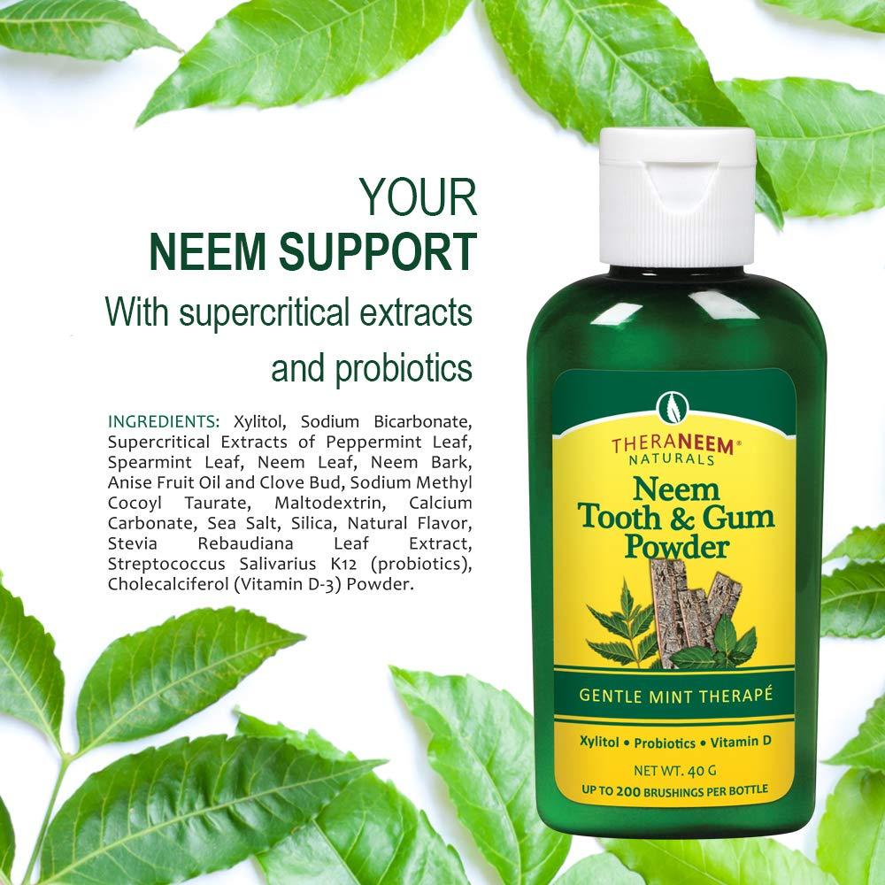 TheraNeem Naturals Neem Tooth & Gum Powder - Gentle Mint 40g by Organix ...