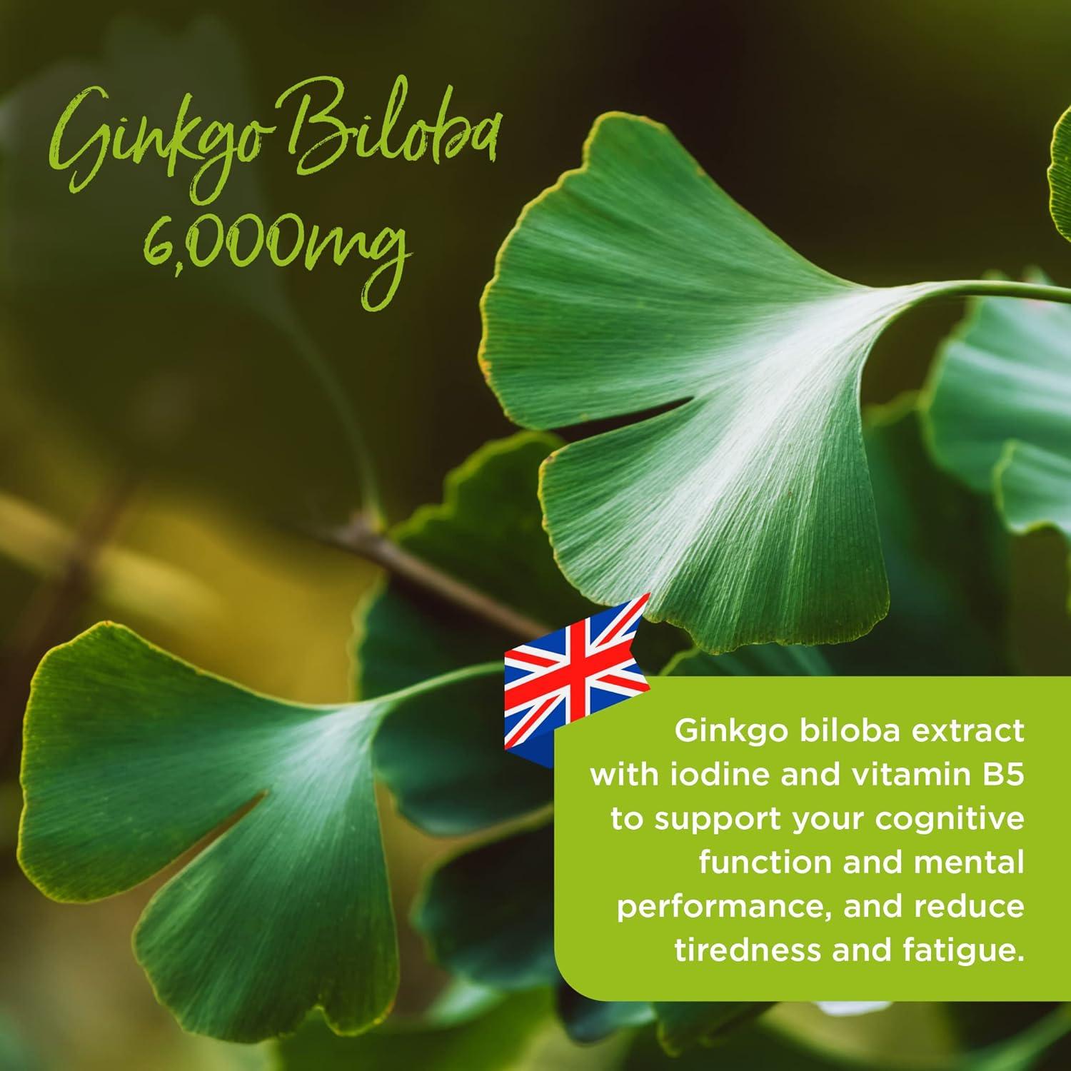 Healthspan Ginkgo Biloba 6000mg | High Strength 180 Tablets | Rich in ...