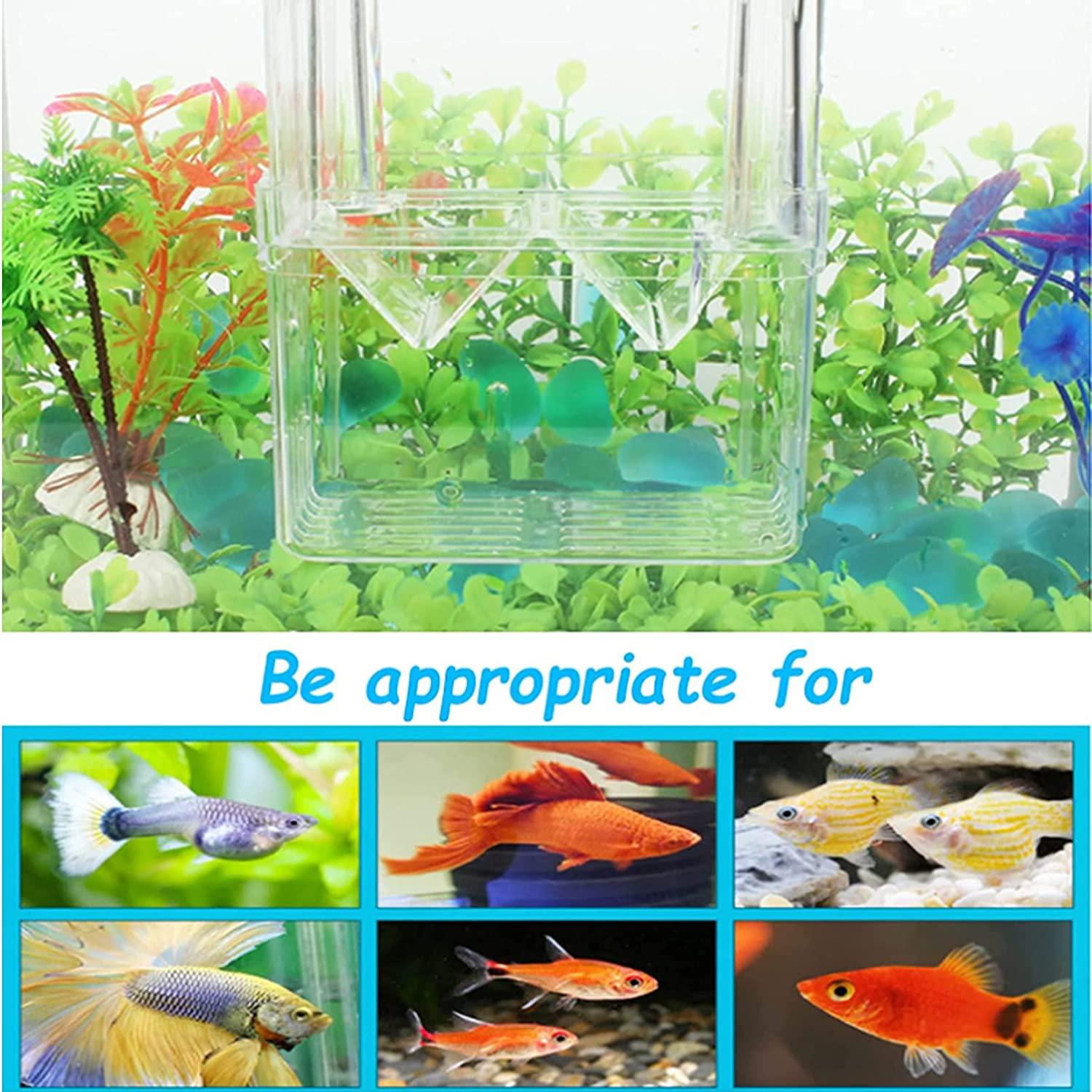 Tfwadmx Fish Breeding Box - Aquarium Breeder Box for Fish Hatchery and ...