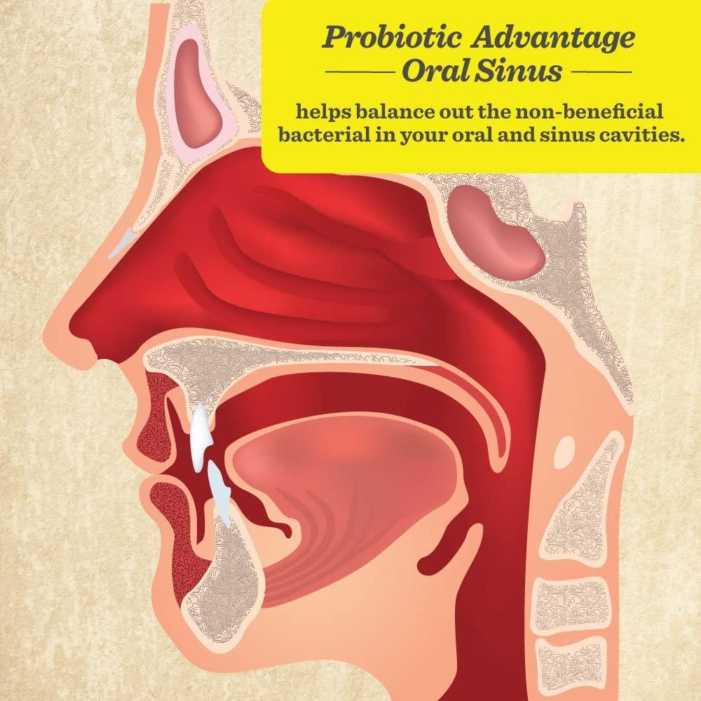 Dr. Williams Probiotic Advantage Oral Sinus Lozenges - Natural Cinnamon ...