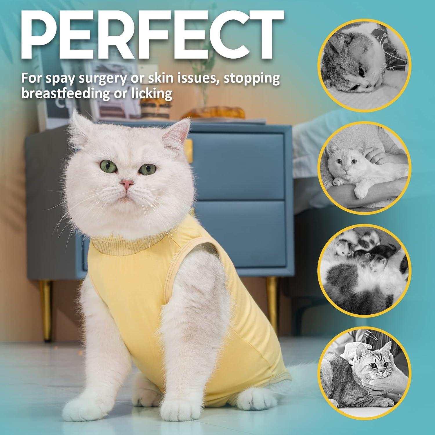 Avont Katzenbody Recovery Suit for Cats - Modal Post-Op Clothing for ...