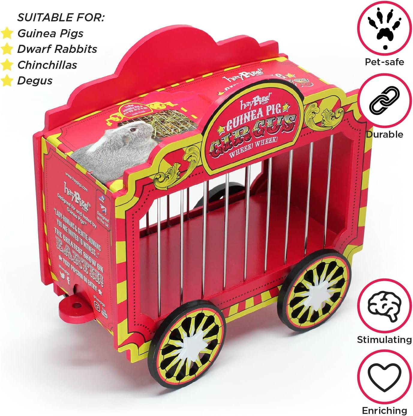 HAYPIGS Guinea Pig Toys and Accessories - Circus themed WHEEK WAGON Hay ...