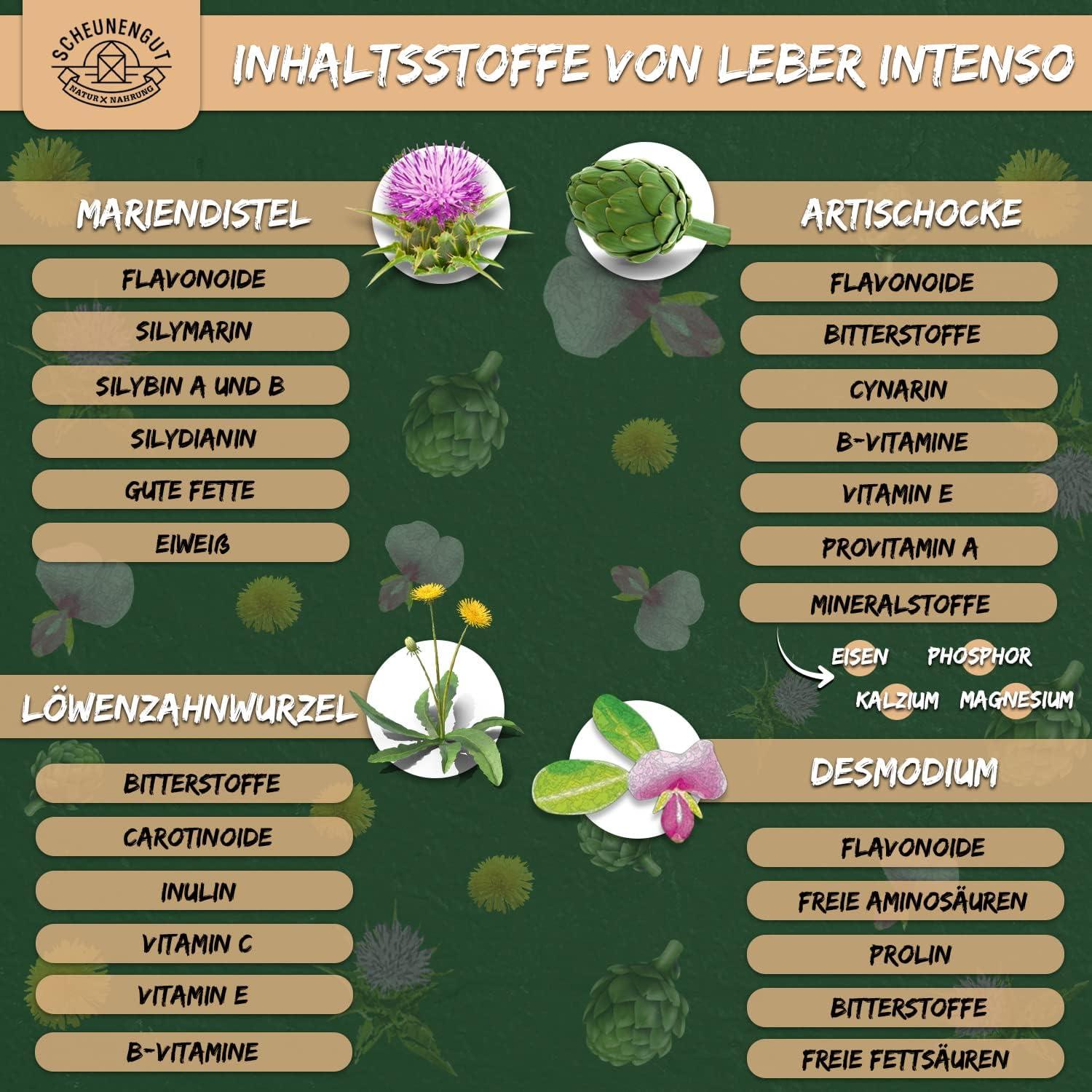 Liver Intenseo High-Dose Liver Complex - 120 pcs with 80% Silymarin ...