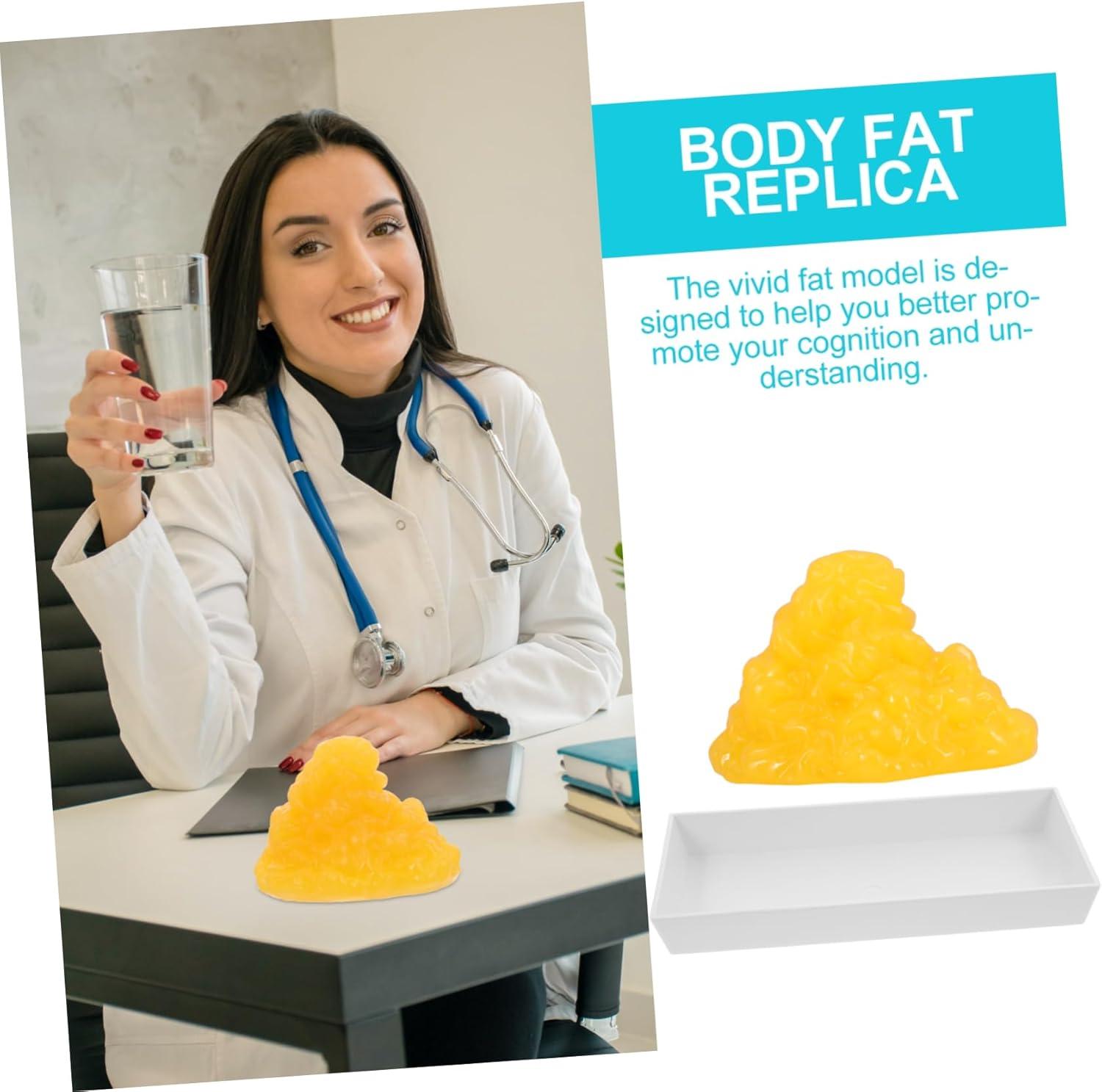 Baluue Fat 1lb Fat Model Manikin Mannequins Body Fat Anatomy Fat ...