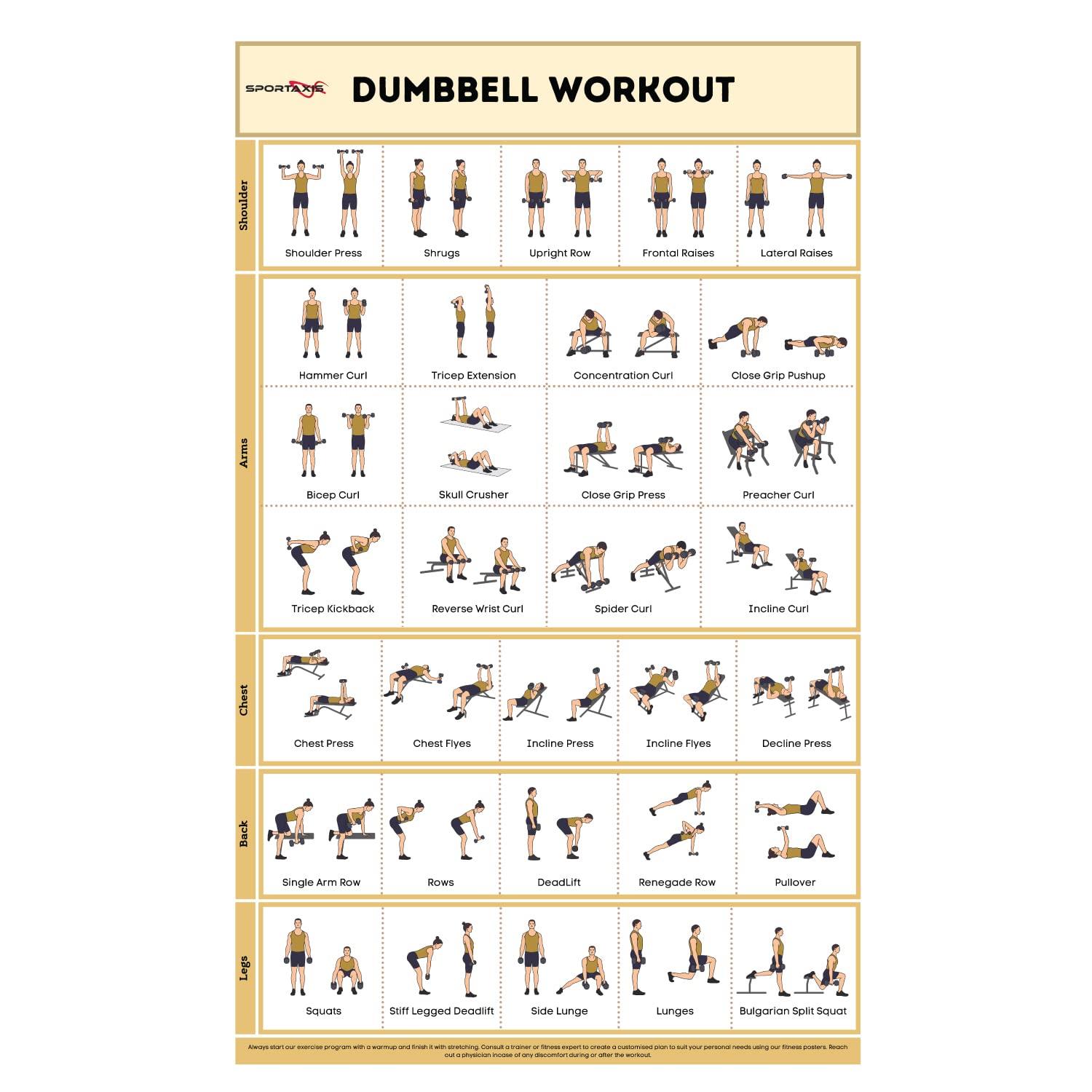 SPORTAXIS No-Equipment Laminated Dumbbell Workout Poster - Advanced ...