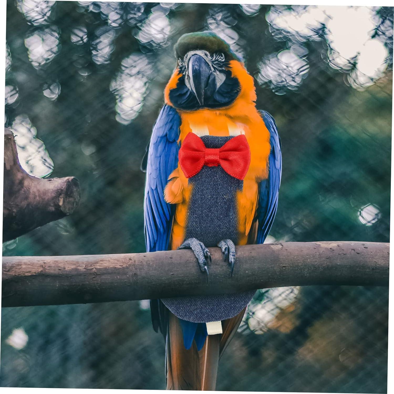 Pigeon Diapers 3pcs Flying Bird Diapers Pigeon Diaper Pants Pigeon ...