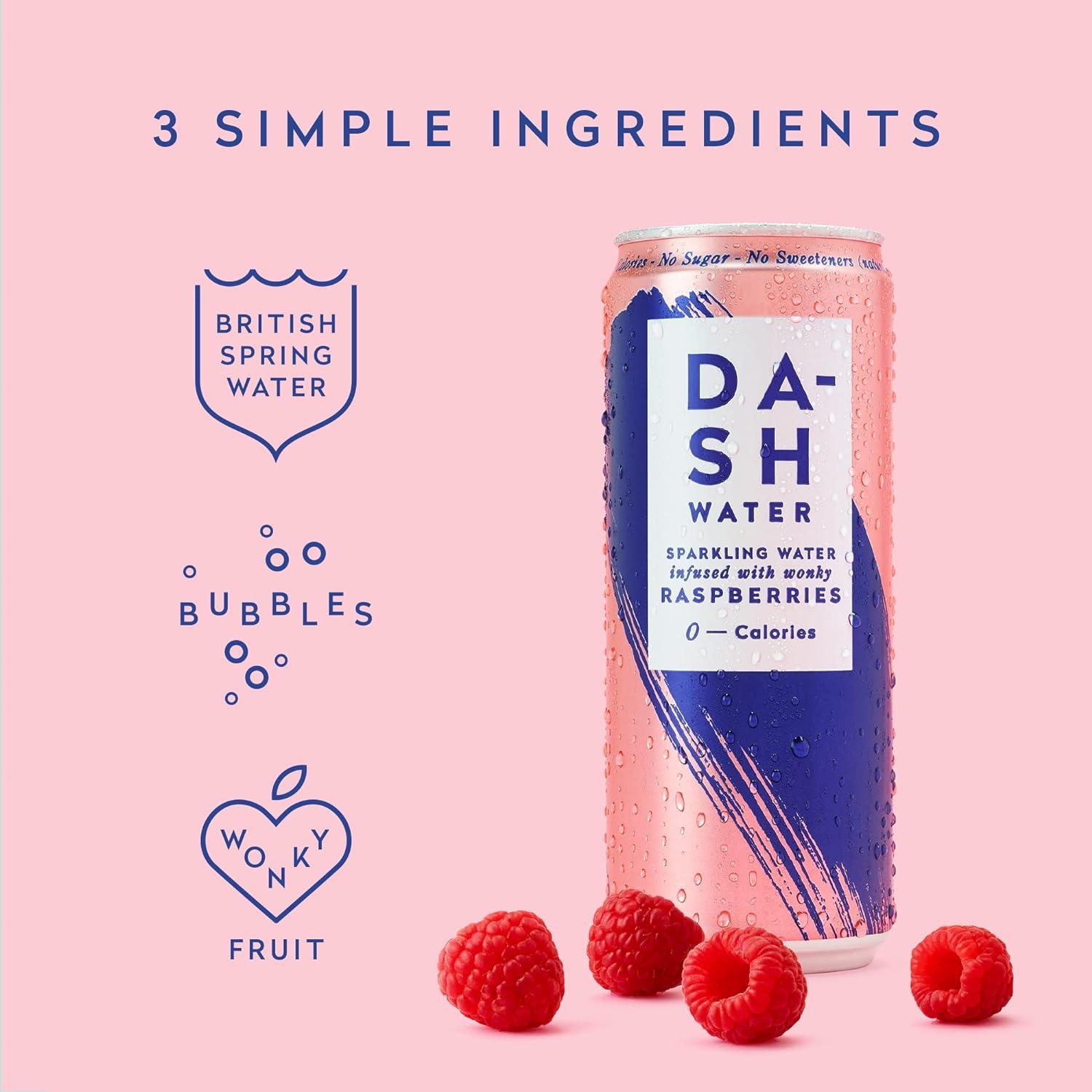 Dash Water Mixed Pack - 16 x Flavoured Sparkling Spring Water ...