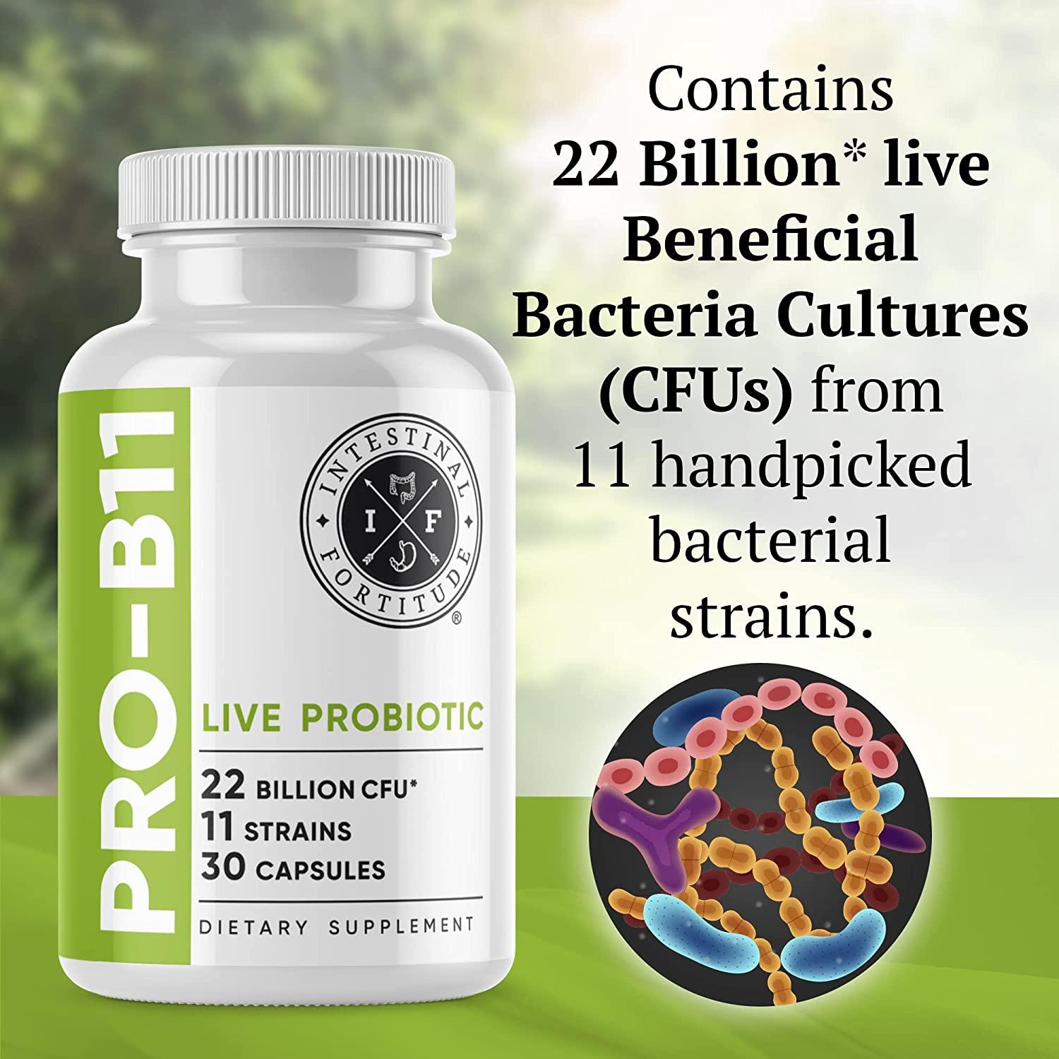 Intestinal Fortitude PRO-B11 Probiotics - 22 Billion CFU Gut Health ...