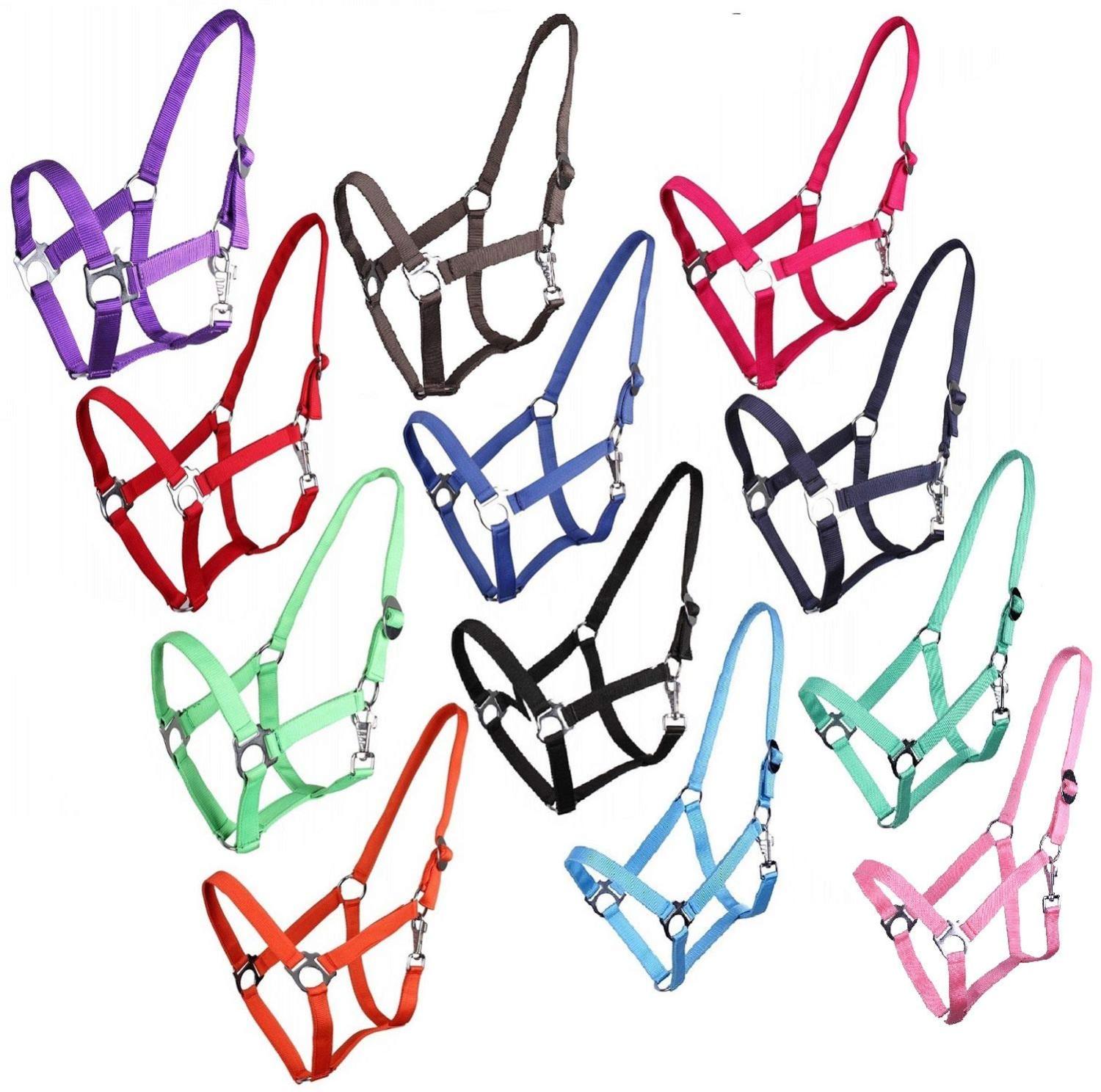 Shop Netproshop Single-Colored Halters & Guidelines for Mini Shetty to ...
