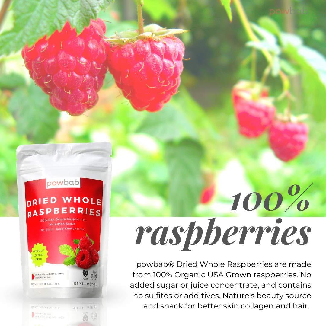 powbab Dried Raspberries Whole - 100% USA Grown Organic Raspberries. No ...