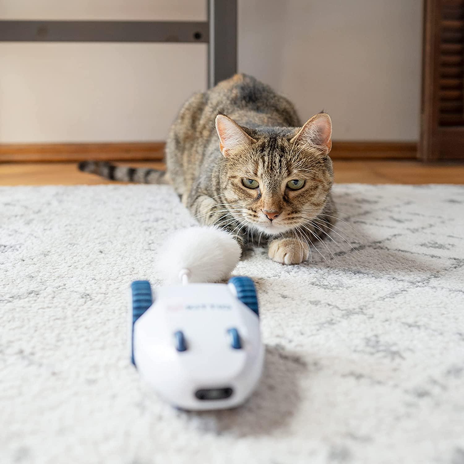 Kittio Robo Mouse: Interactive Cat Toy with Smart Steering Sensors ...