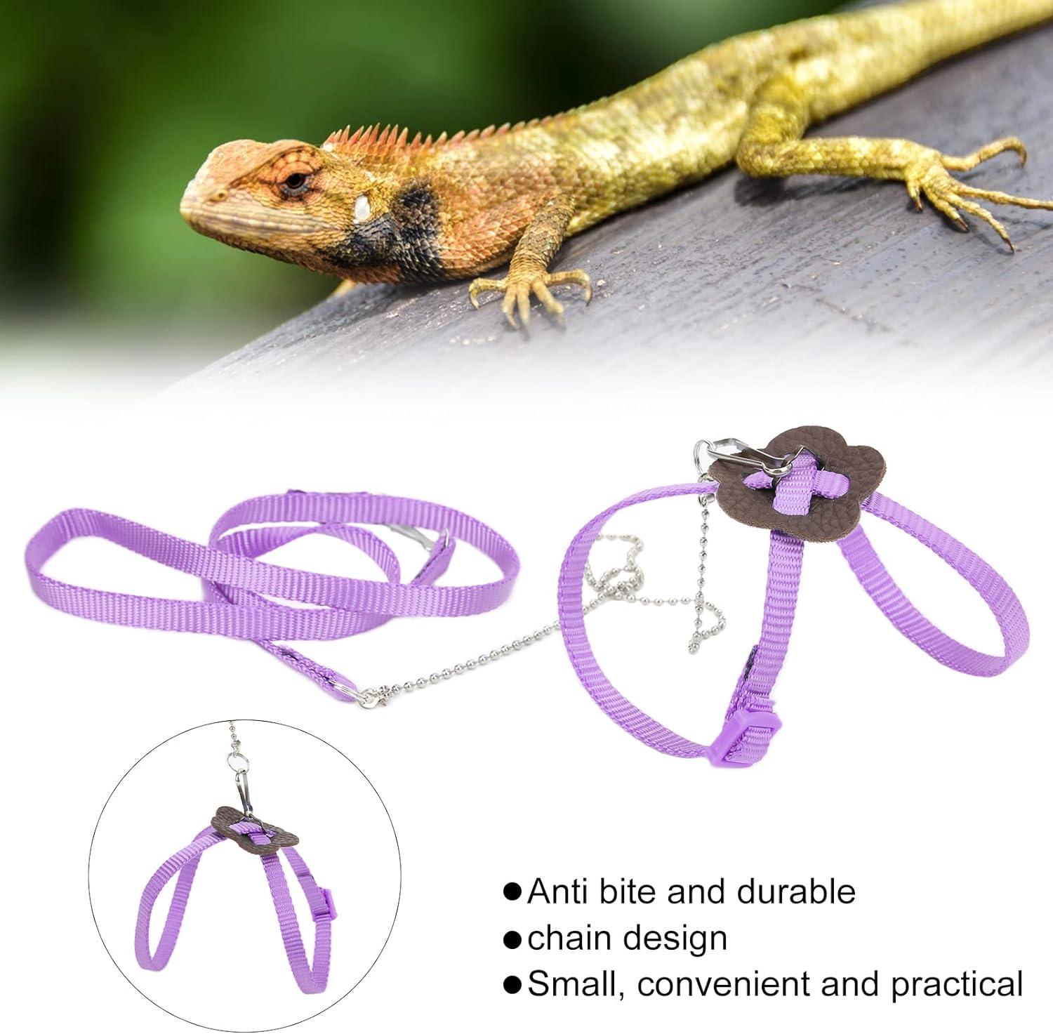 Adjustable Lizard Harness - Bearded Dragon Leash for Reptile Walking ...